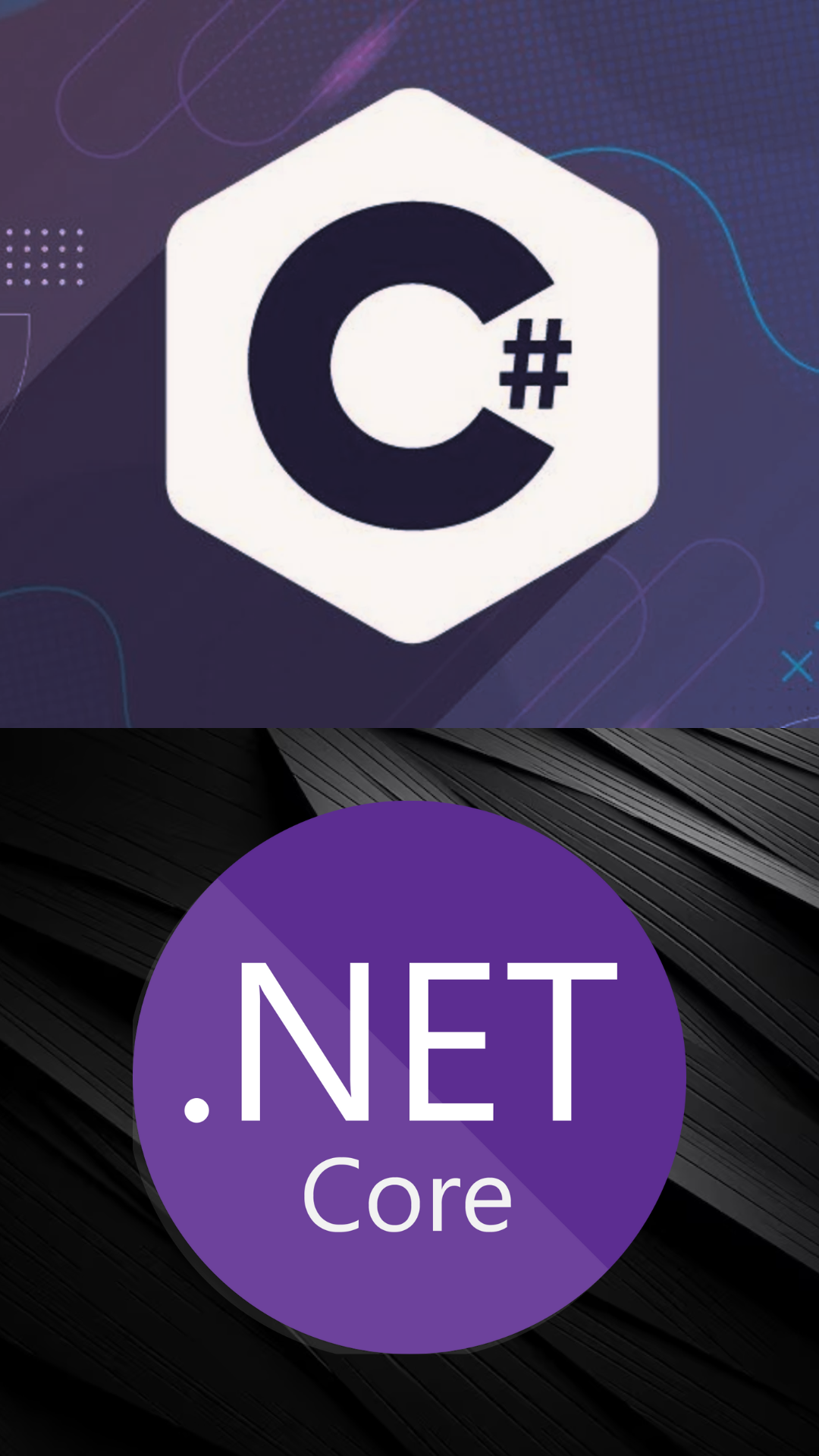 Difference between .NET and C#
